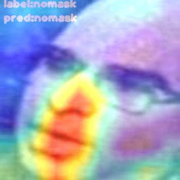 GitHub - saehan-choi/grad_CAM