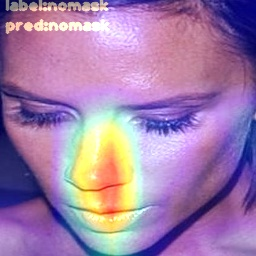 GitHub - saehan-choi/grad_CAM