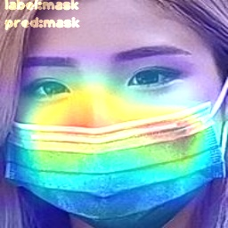 GitHub - saehan-choi/grad_CAM