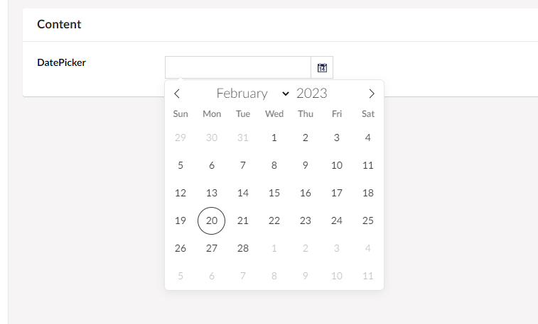 Date Picker Formatting Error · Issue 13850 · Umbraco Umbraco Cms · Github