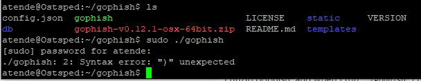 ./gophish: 2: Syntax error: ")" unexpected · Issue #2692 · gophish/gophish · GitHub