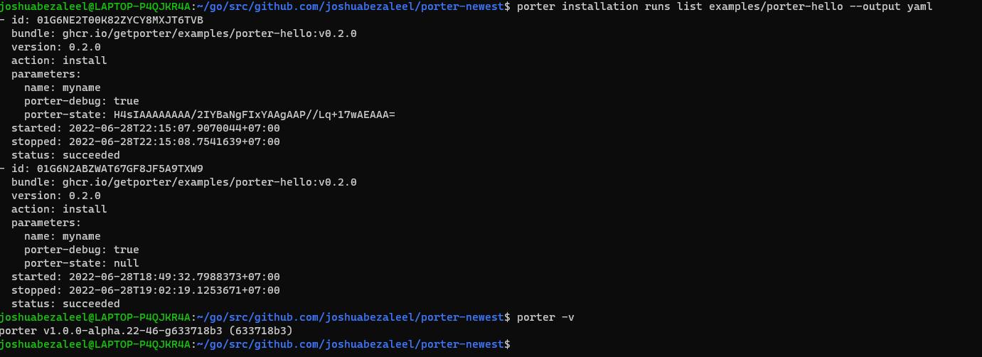 porter installation runs list doesn't populate parameter values · Issue #2199 · getporter/porter ...