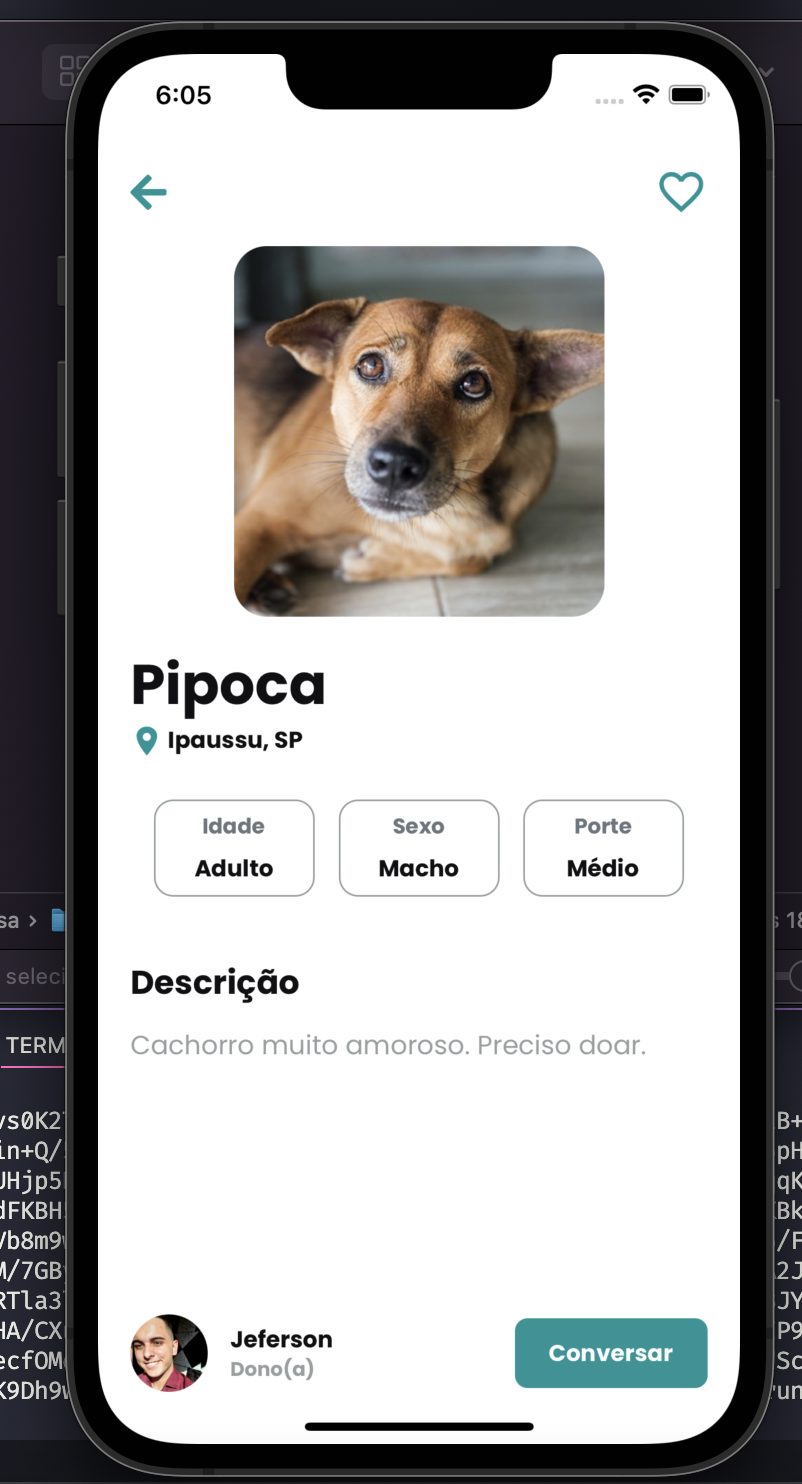 GitHub - jeffmnb/SeuPet_front