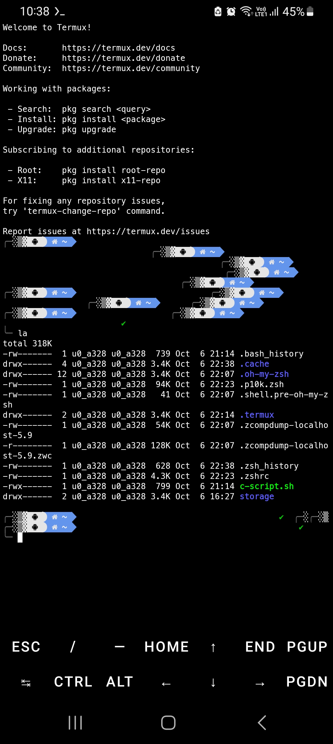 zoom in or out bug · Issue #11936 · ohmyzsh/ohmyzsh · GitHub