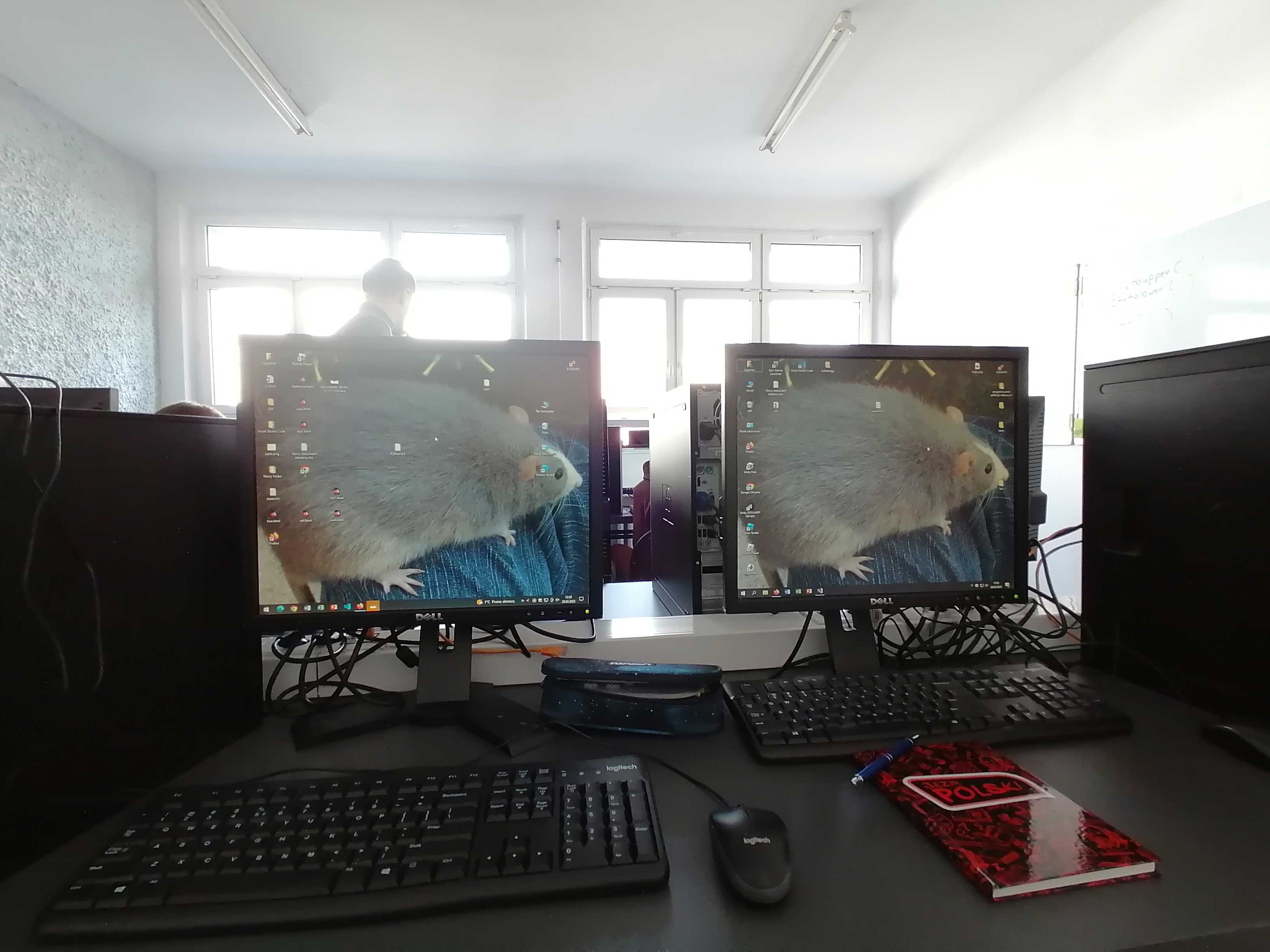 I Want to Shut Down bigrat.monster: Please leave your comment ...