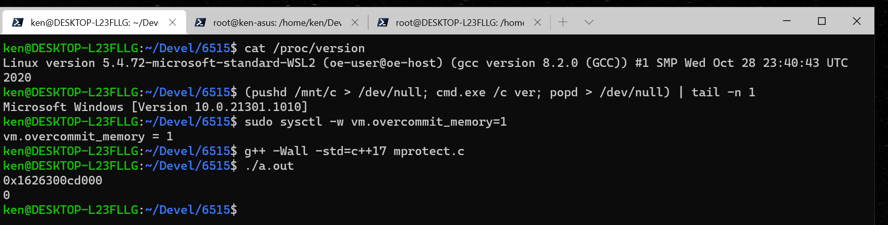 mprotect segfaults on WSL 2 but not on WSL 1 · Issue #6515 · microsoft ...
