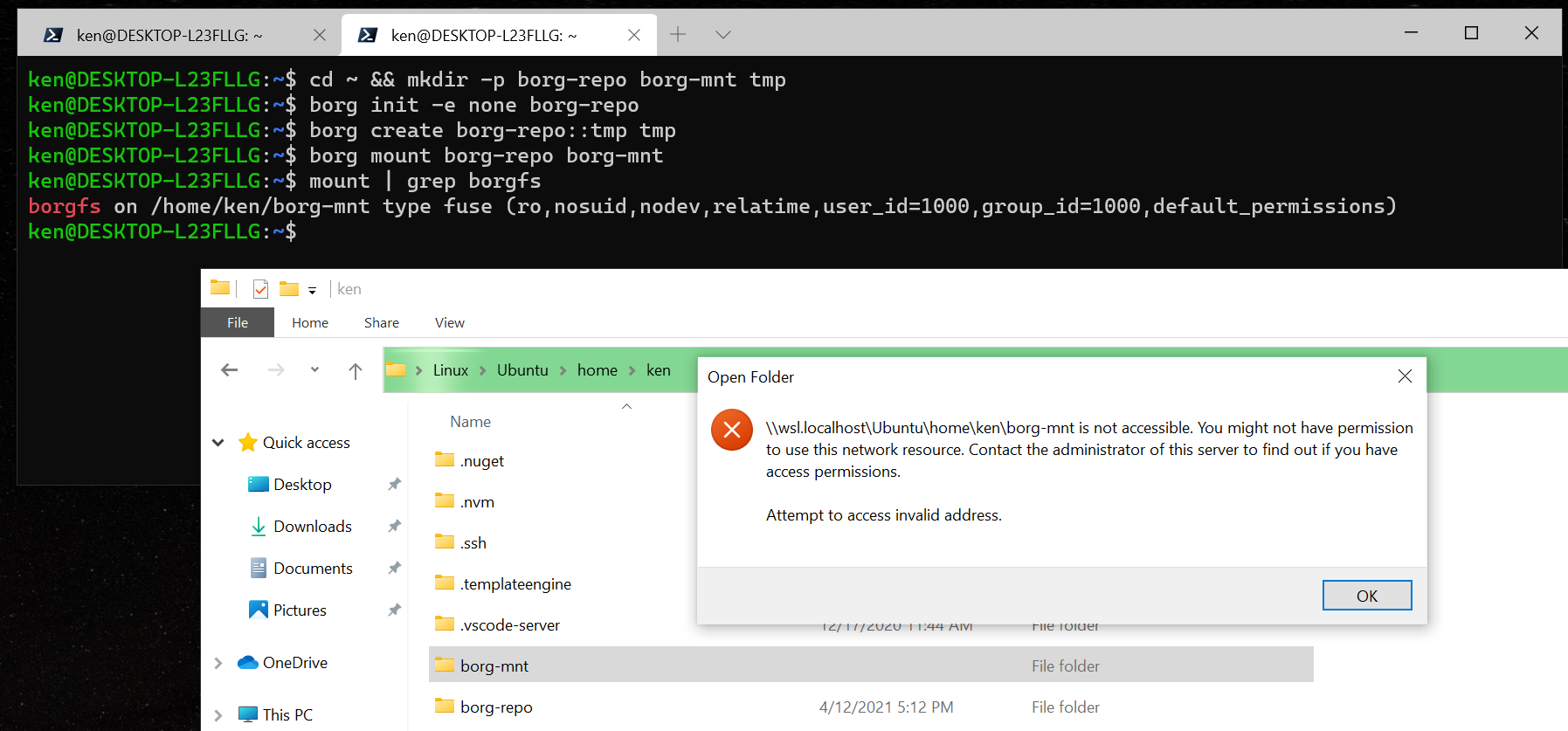 Exporer does not show borgbackup mount · Issue #6790 · microsoft/WSL · GitHub