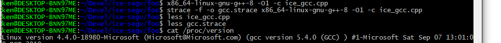g++-8 internal compiler error under WSL (Debian Buster, Ubuntu Bionic) · Issue #4510 · microsoft ...