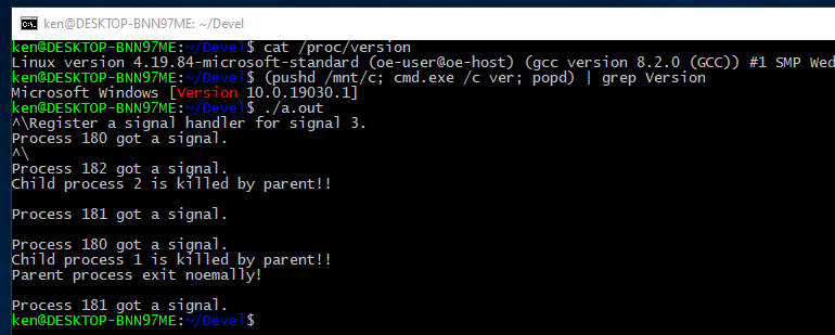 ctrl+\ not working · Issue #4715 · microsoft/WSL · GitHub