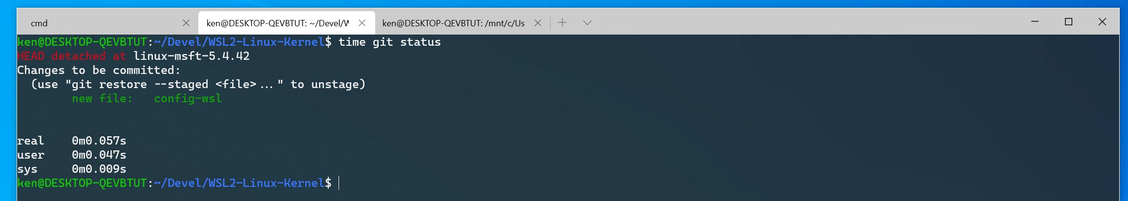 slow WSL2 prompt when PATH or LD_LIBRARY_PATH contain /mnt/c paths ...