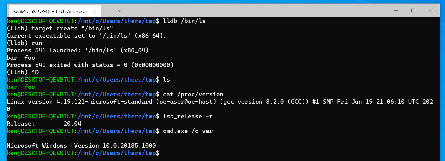 LLDB can't launch process · Issue #2028 · microsoft/WSL · GitHub