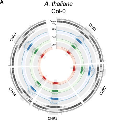 Generate Circos Plot for gigas-WGBS-ploidy-desiccation project · Issue #1455 · RobertsLab ...