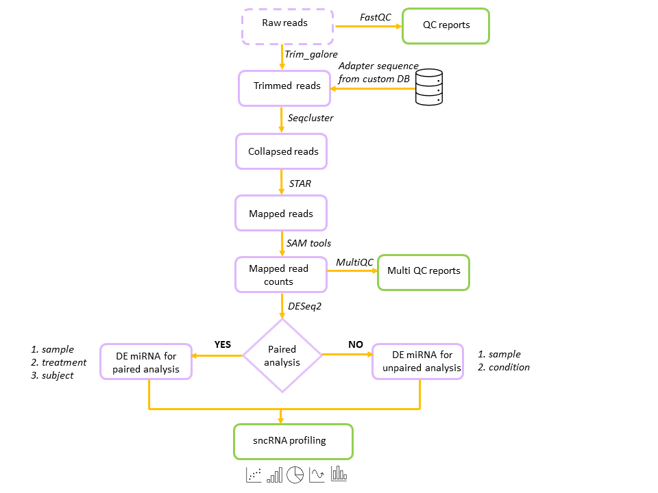 GitHub - DoctorBioinformatics/sncRNAP: Nextflow sncRNA identification pipeline for sRNAseq dataset