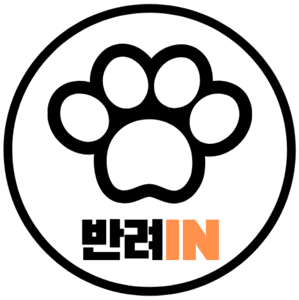 GitHub - L-chobi/Companion-in: 엘리스 sw 엔지니어 트랙 1차 프로젝트