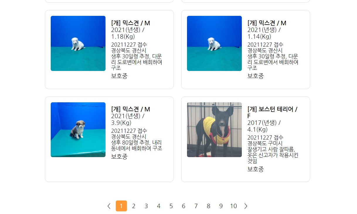 GitHub - L-chobi/Companion-in: 엘리스 sw 엔지니어 트랙 1차 프로젝트