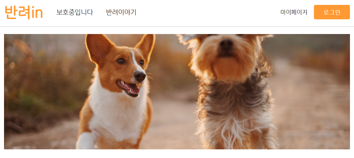 GitHub - L-chobi/Companion-in: 엘리스 sw 엔지니어 트랙 1차 프로젝트