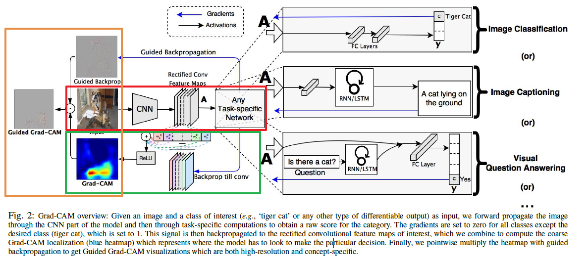 Grad-CAM: Visual Explanations from Deep Networks via Gradient-based Localization · Issue #3 ...