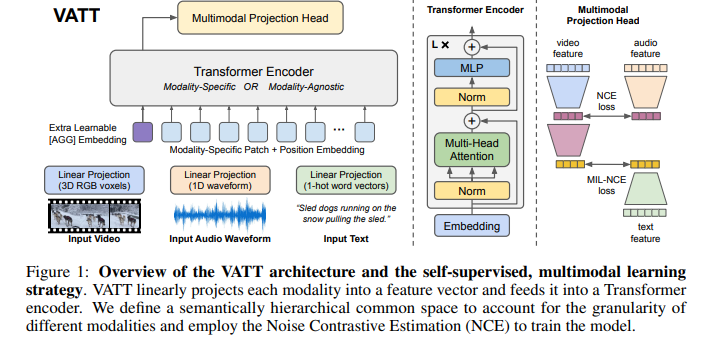 VATT: Transformers for Multimodal Self-Supervised Learning from Raw ...