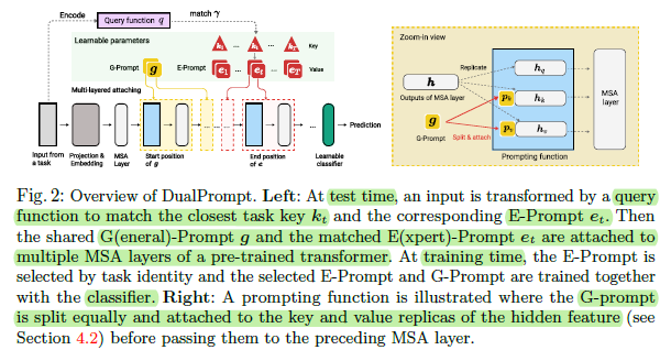 DualPrompt: Complementary Prompting for Rehearsal-free Continual Learning · Issue #294 · One-Day ...