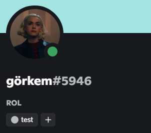 GitHub - uurhub/Discord-Role-with-Google-Sheets-Data: This discord bot gives a role of who ...