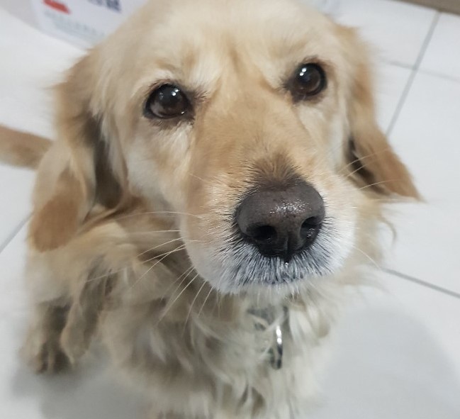 [GitHub Blog] Markdown 문법 - Soyunshin’s Blog