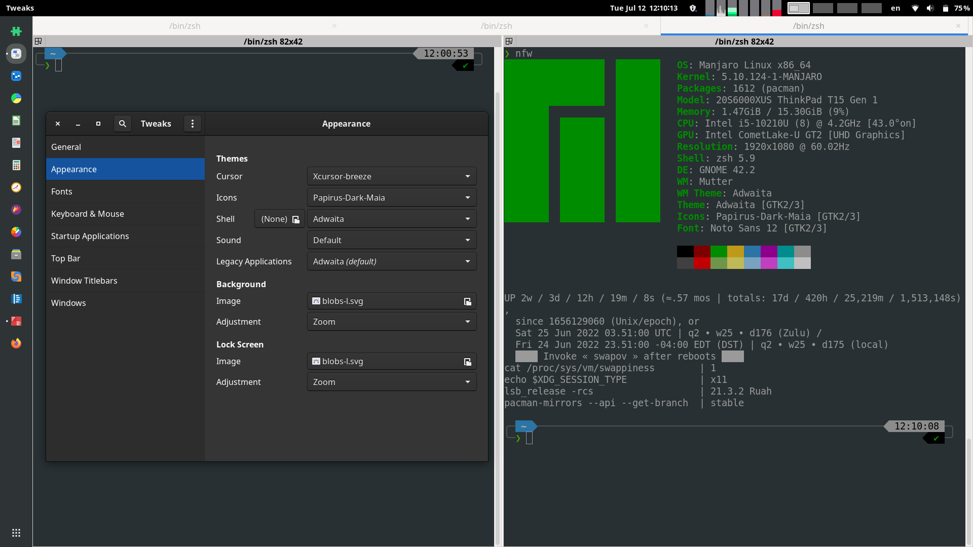 [Question] what might cause the desktop background to bleed through the Terminator window when I ...