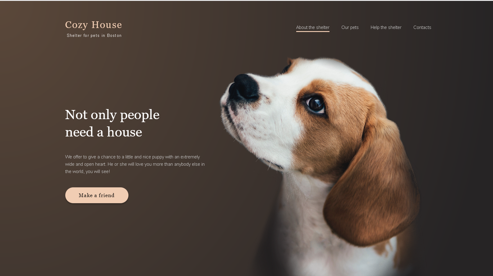 GitHub - freshman10/shelter: Project for RS School