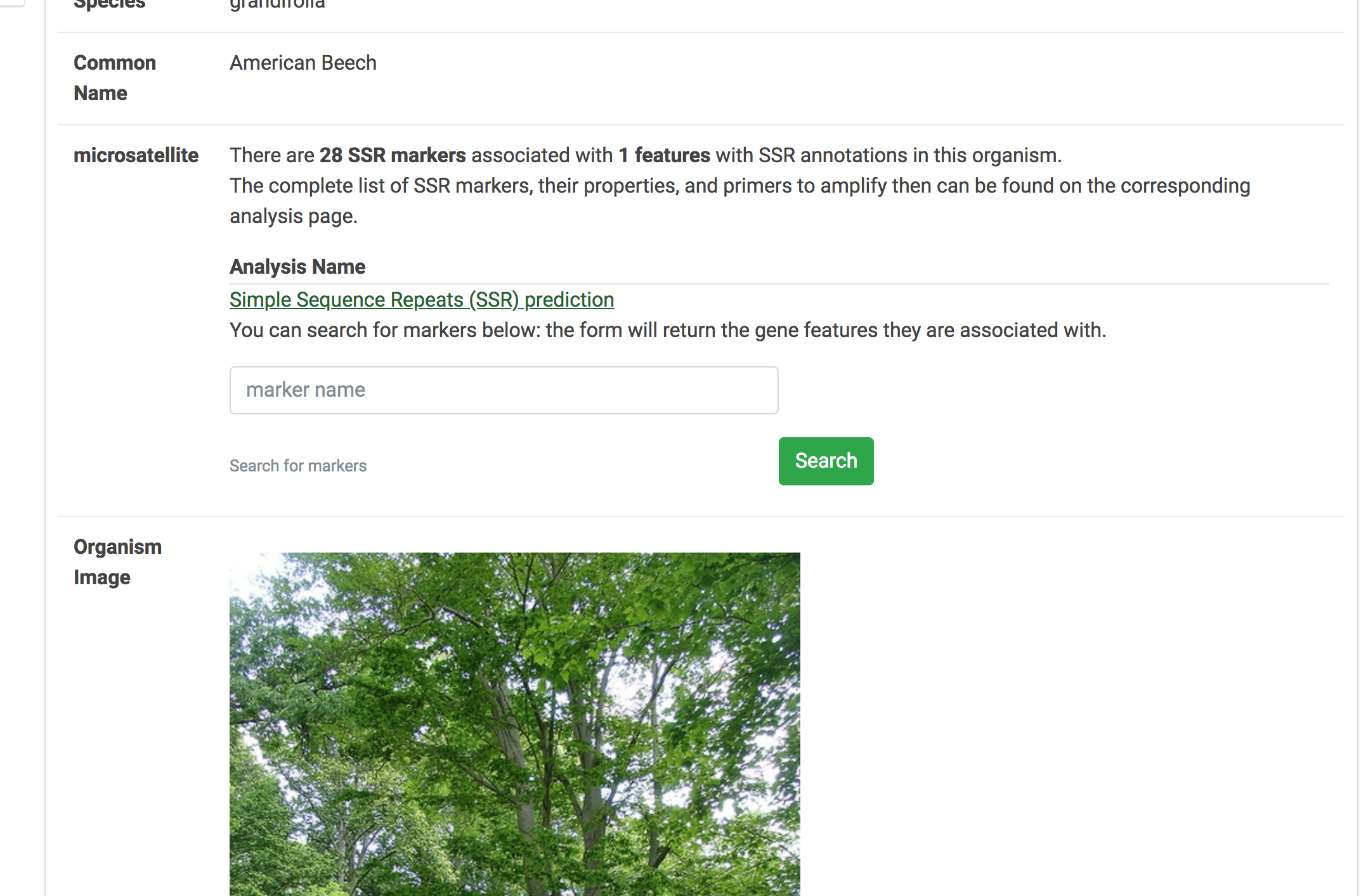 Predicted SSR minimodule · Issue #35 · statonlab/hardwoods_site · GitHub