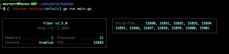 Prefork causing address binding problem · Issue #1161 · gofiber/fiber · GitHub