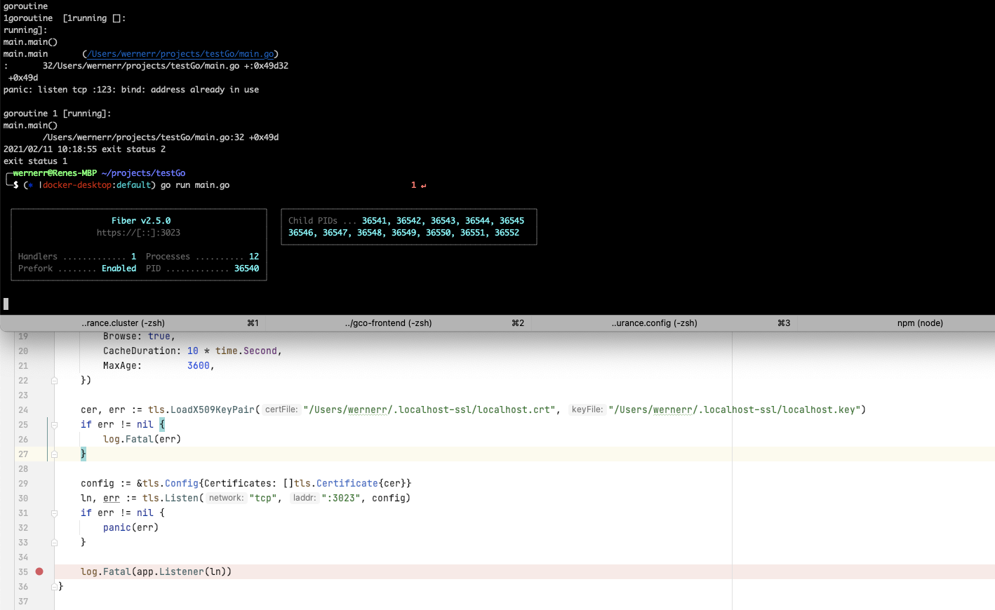 Prefork causing address binding problem · Issue #1161 · gofiber/fiber · GitHub