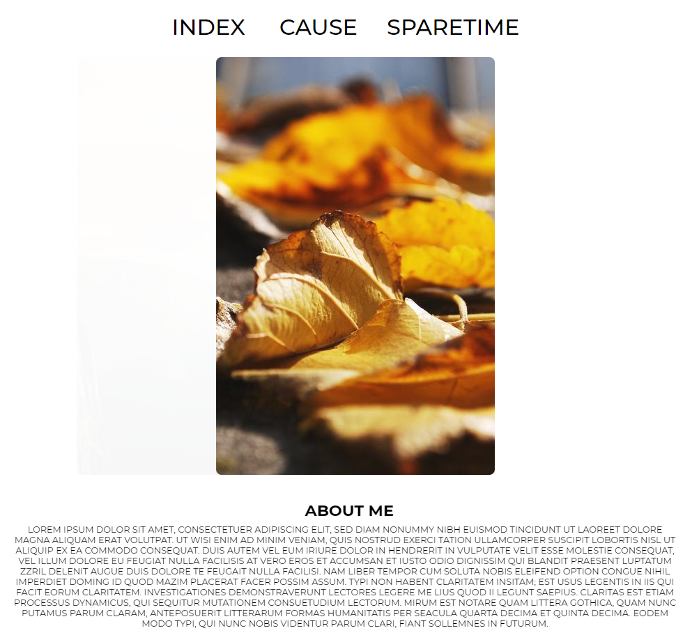 GitHub - MBRzealand/firstWebsite