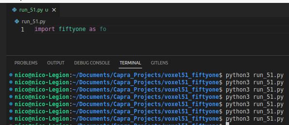 [BUG] DatabaseService failed to bind to port · Issue #3188 · voxel51/fiftyone · GitHub
