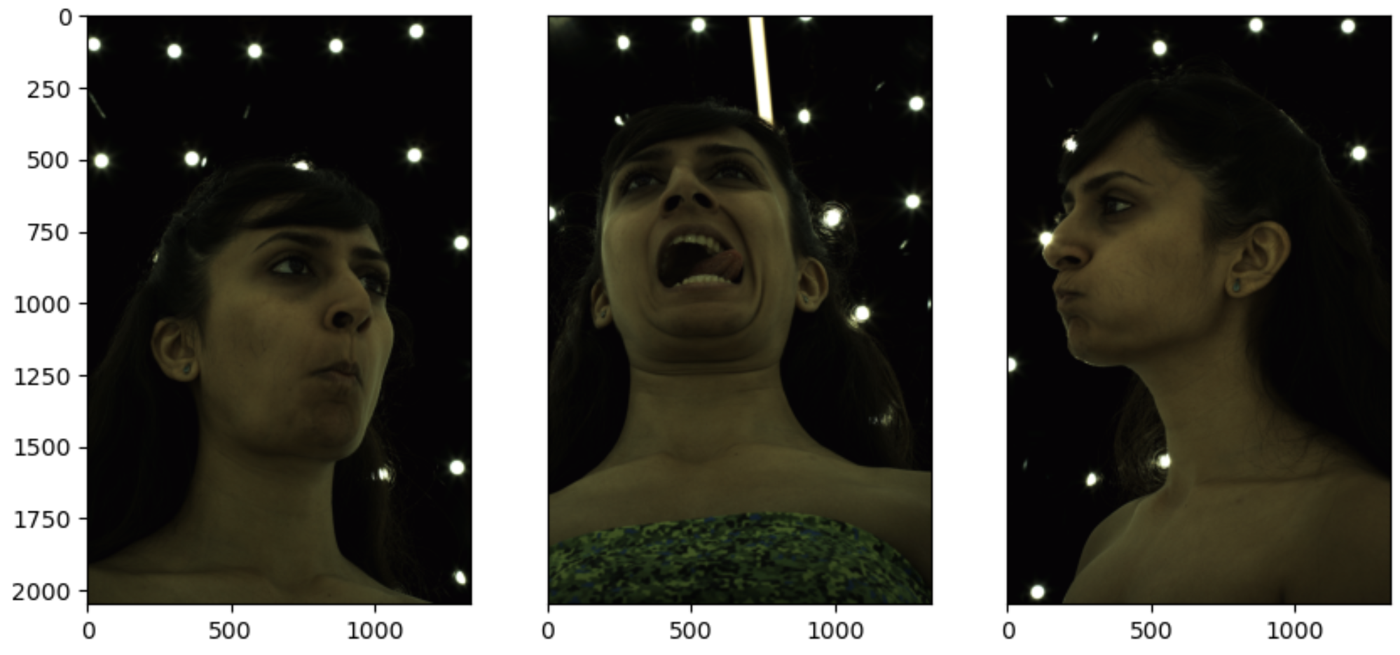 aligning meshes with images · Issue #33 · facebookresearch/multiface ...