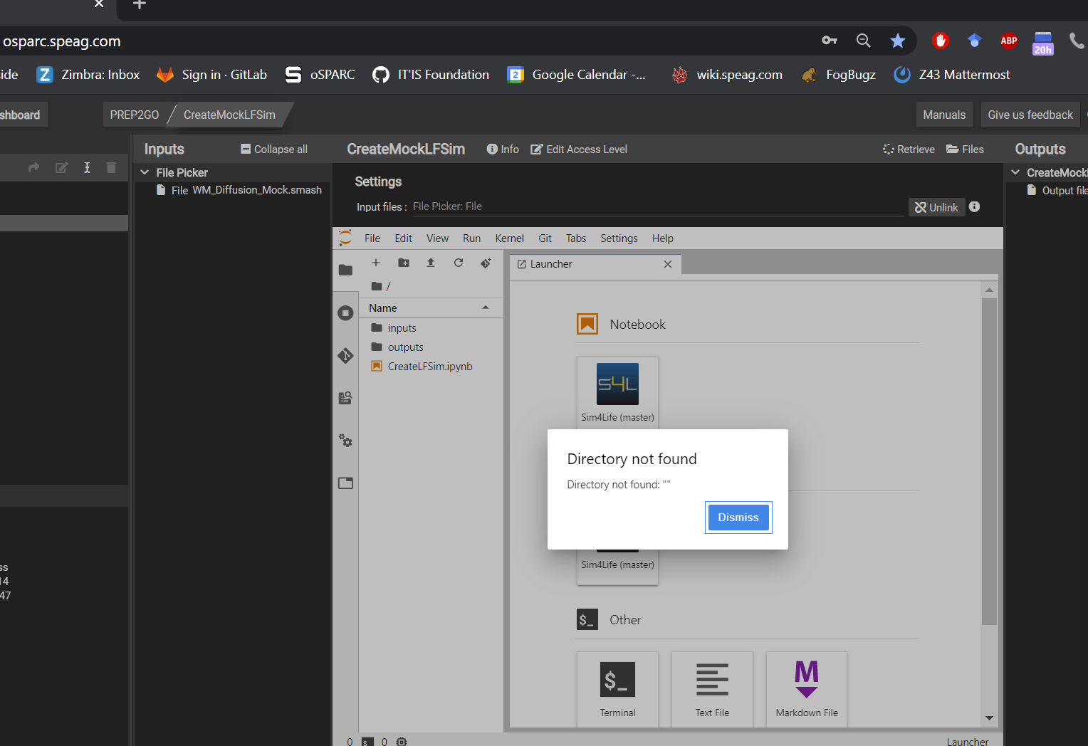 Directory not found: "" · Issue #375 · ITISFoundation/osparc-issues · GitHub