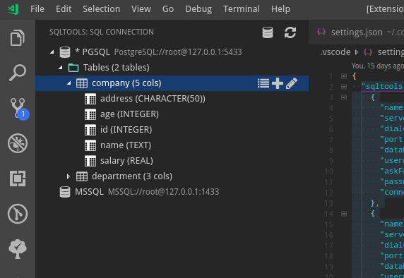 Show columns in the pane · Issue #125 · mtxr/vscode-sqltools · GitHub