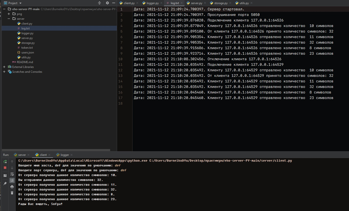 GitHub - sbourneiko/1_echo_server_Practical