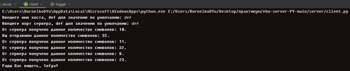 GitHub - sbourneiko/1_echo_server_Practical