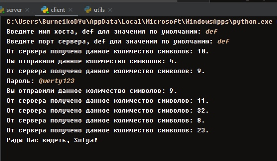 GitHub - sbourneiko/1_echo_server_Practical