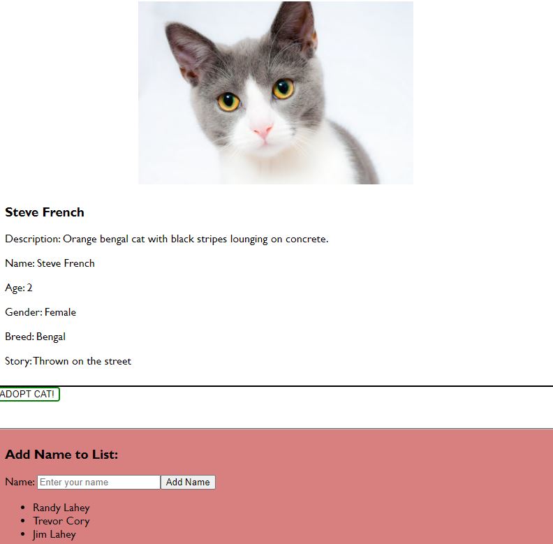 GitHub - roxanne-m/Petful-Client: Live Petful FIFO App