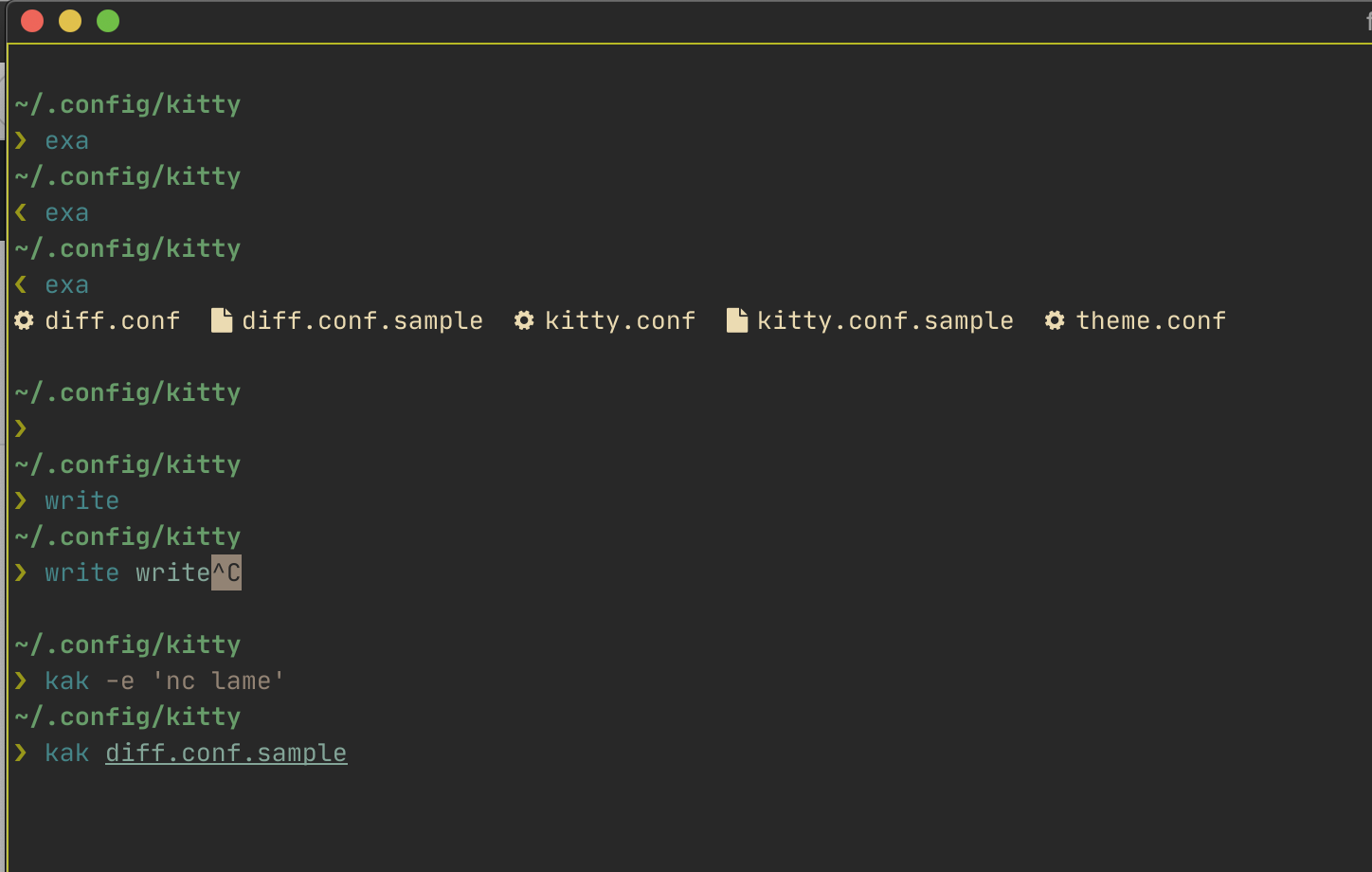 Starship prompt: new prompt lines on paste and other actions · Issue ...