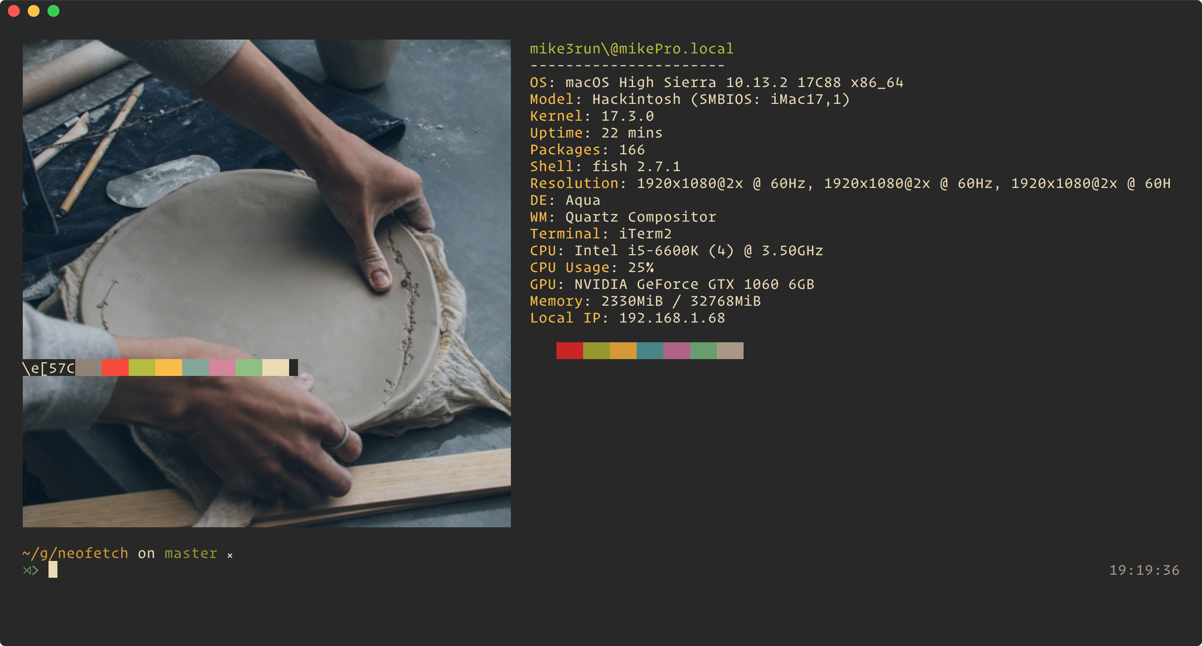 Color scheme rendering issues · Issue #890 · dylanaraps/neofetch · GitHub