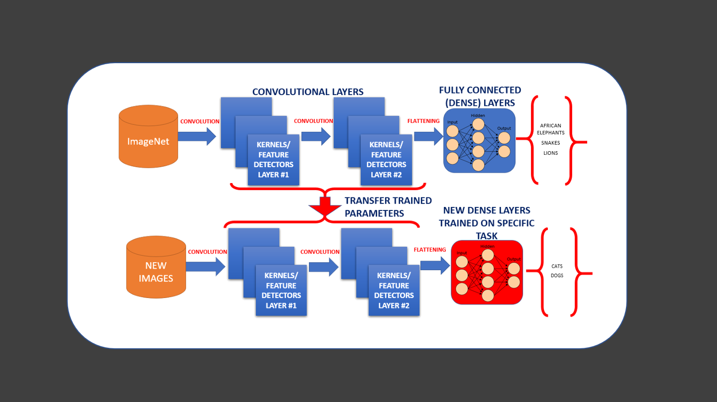 GitHub - ANKITZEAL/Chest-X-Ray-Classification-Using-AI