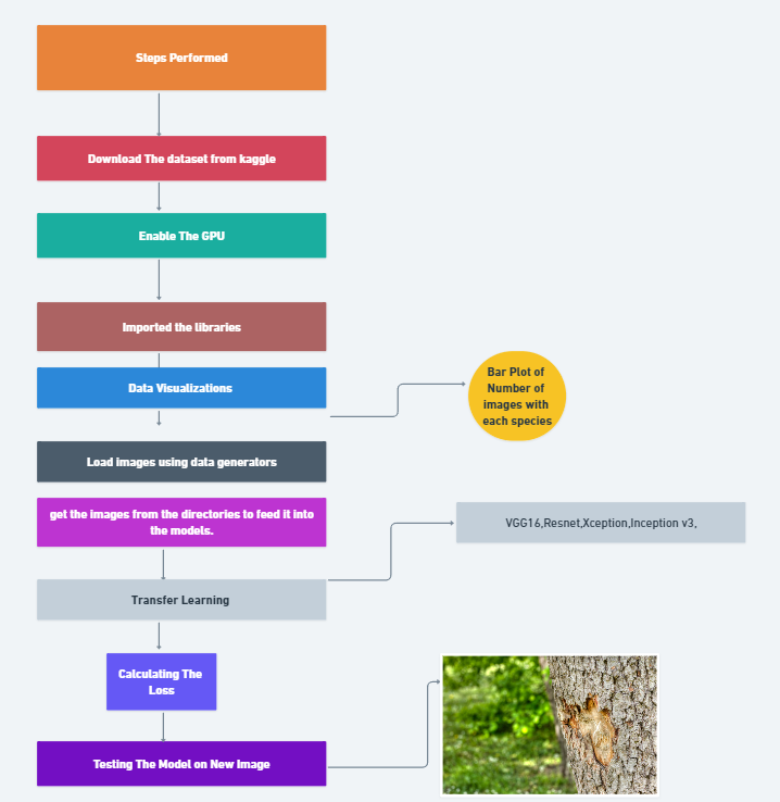 GitHub - ANKITZEAL/TMLC-Assignment-Bark-Texture-Images-Classification