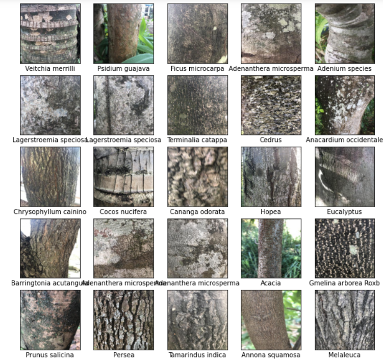 GitHub - ANKITZEAL/TMLC-Assignment-Bark-Texture-Images-Classification