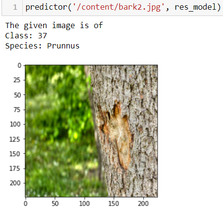 GitHub - ANKITZEAL/TMLC-Assignment-Bark-Texture-Images-Classification