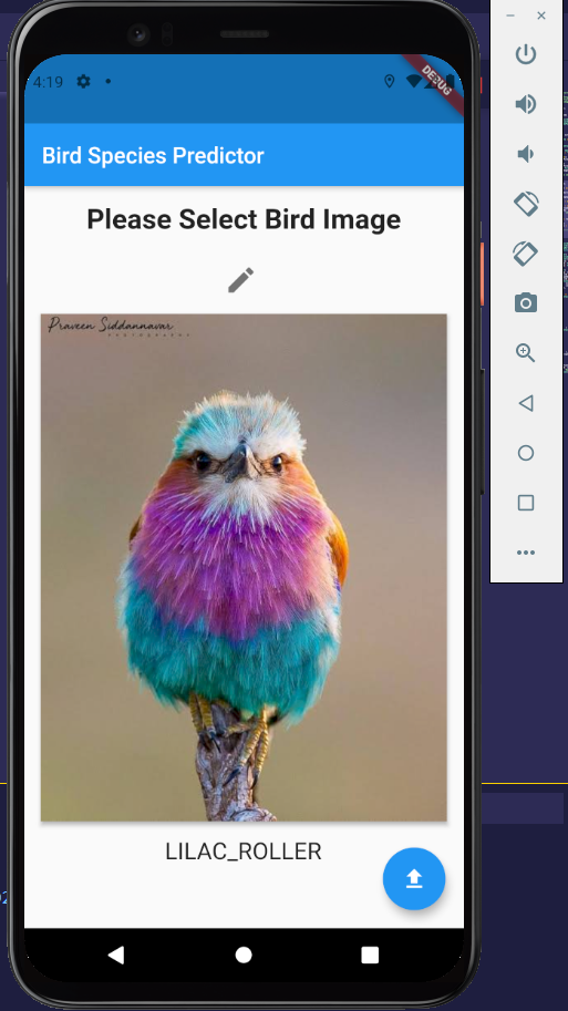 GitHub - YoncaYeprem/Bird-Species-Recognition-With-CNN-and-Flutter