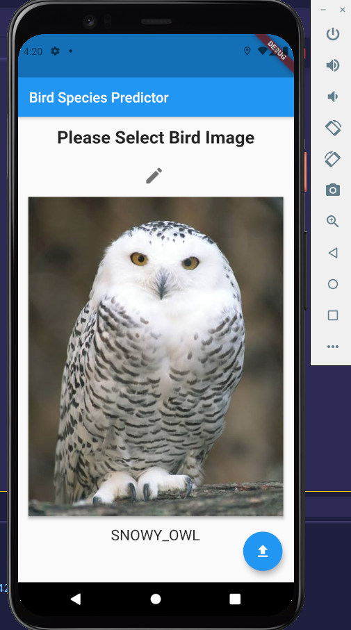 GitHub - YoncaYeprem/Bird-Species-Recognition-With-CNN-and-Flutter