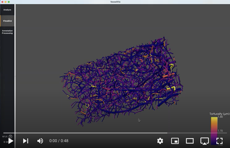 Creating movies using PyvistaQt's QtInteractor · pyvista pyvista · Discussion #1831 · GitHub