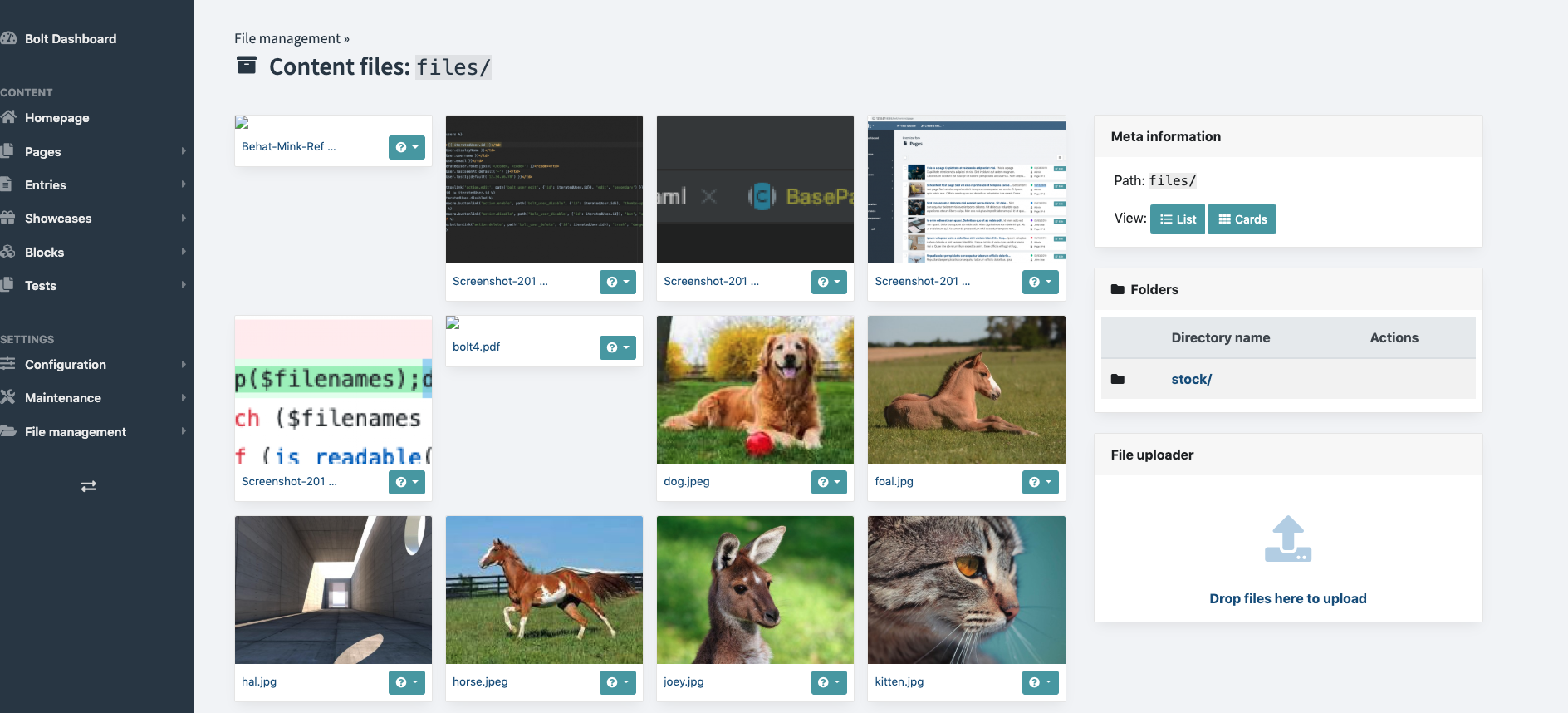 Bolt Filemanager Shows Broken Image Link On Non Image Files Issue