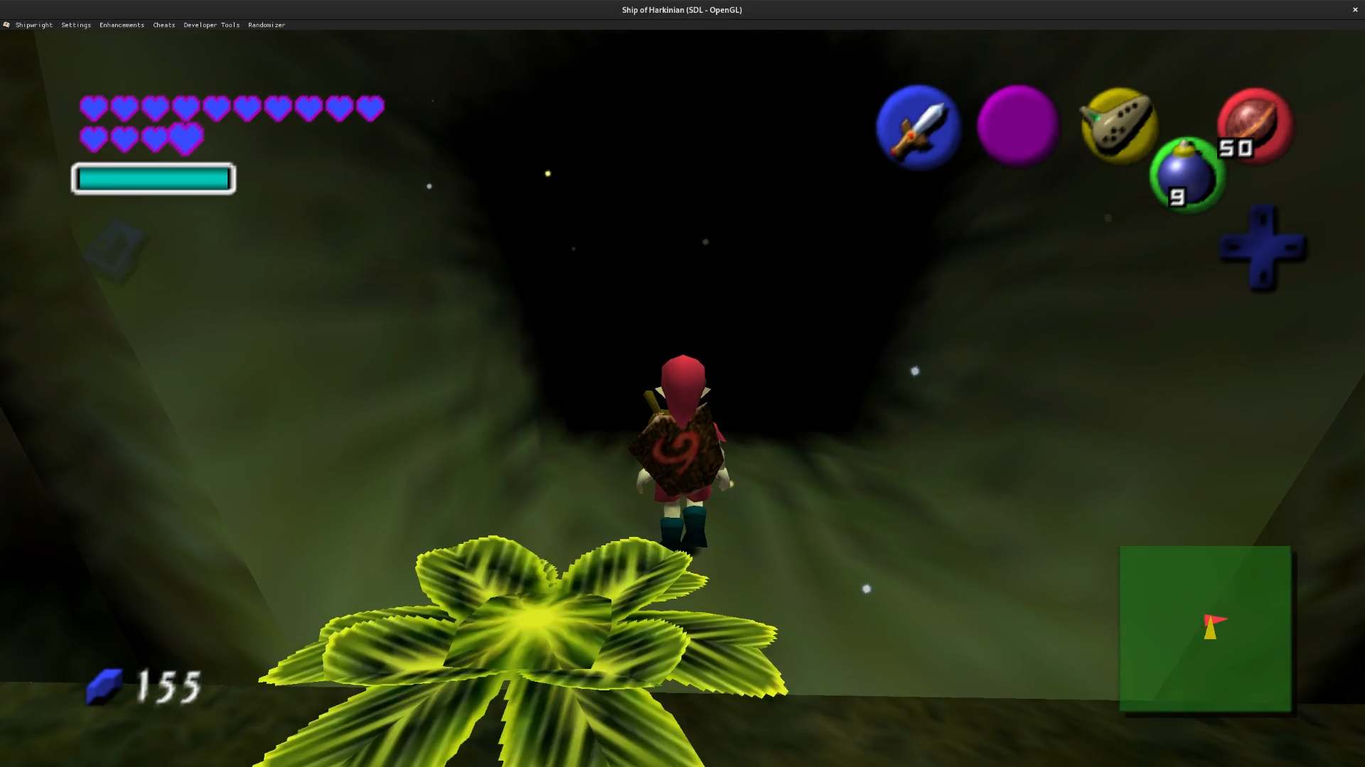 scrub tops? flash on screen when going through lost woods · Issue #2796 · HarbourMasters ...